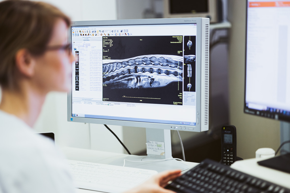 Modernes MRT - Tierarztpraxis Dr. König